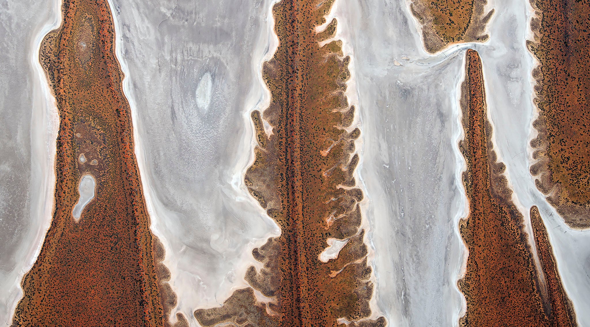 Tanami Desert – Airphoto Australia
