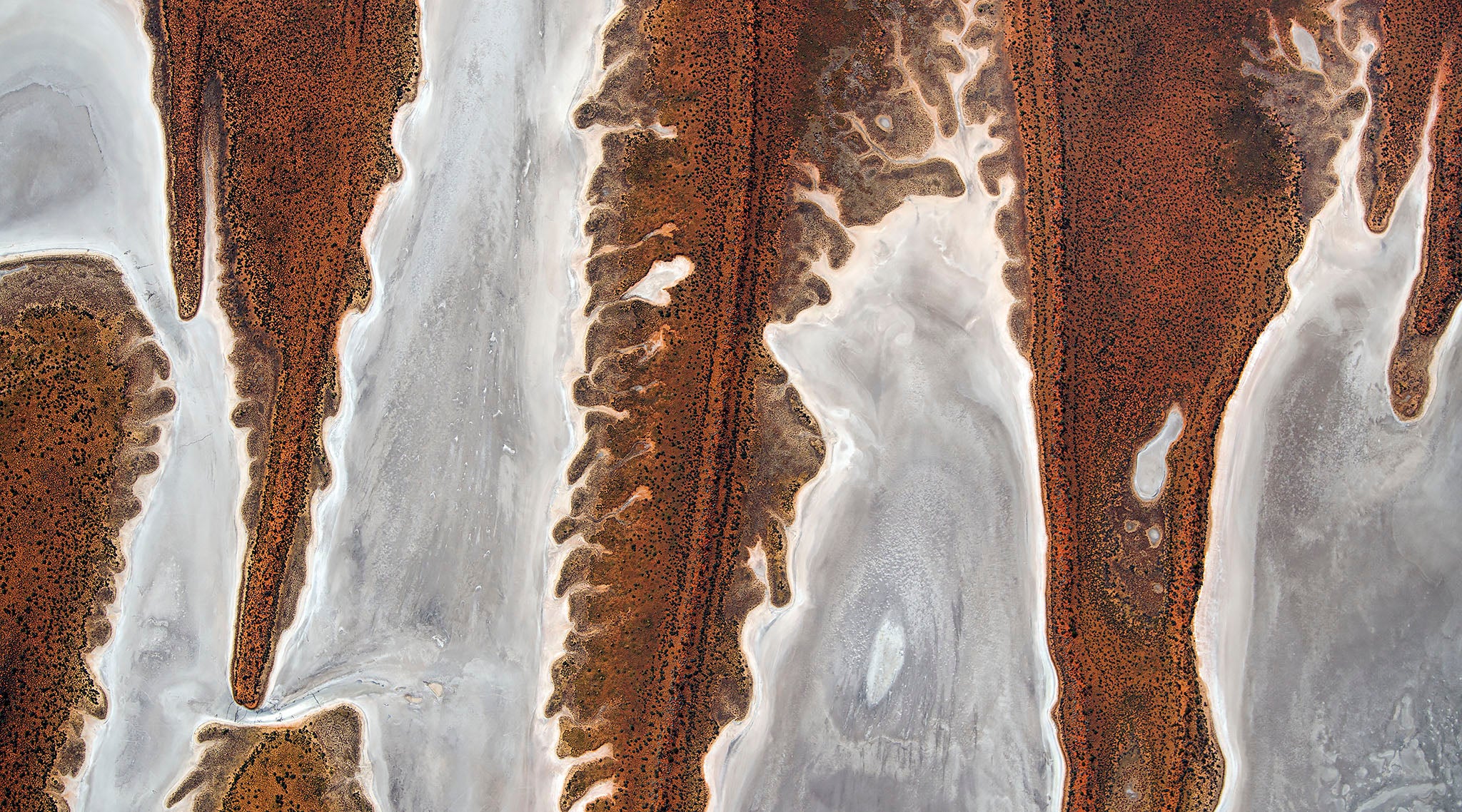 Tanami Desert – Airphoto Australia