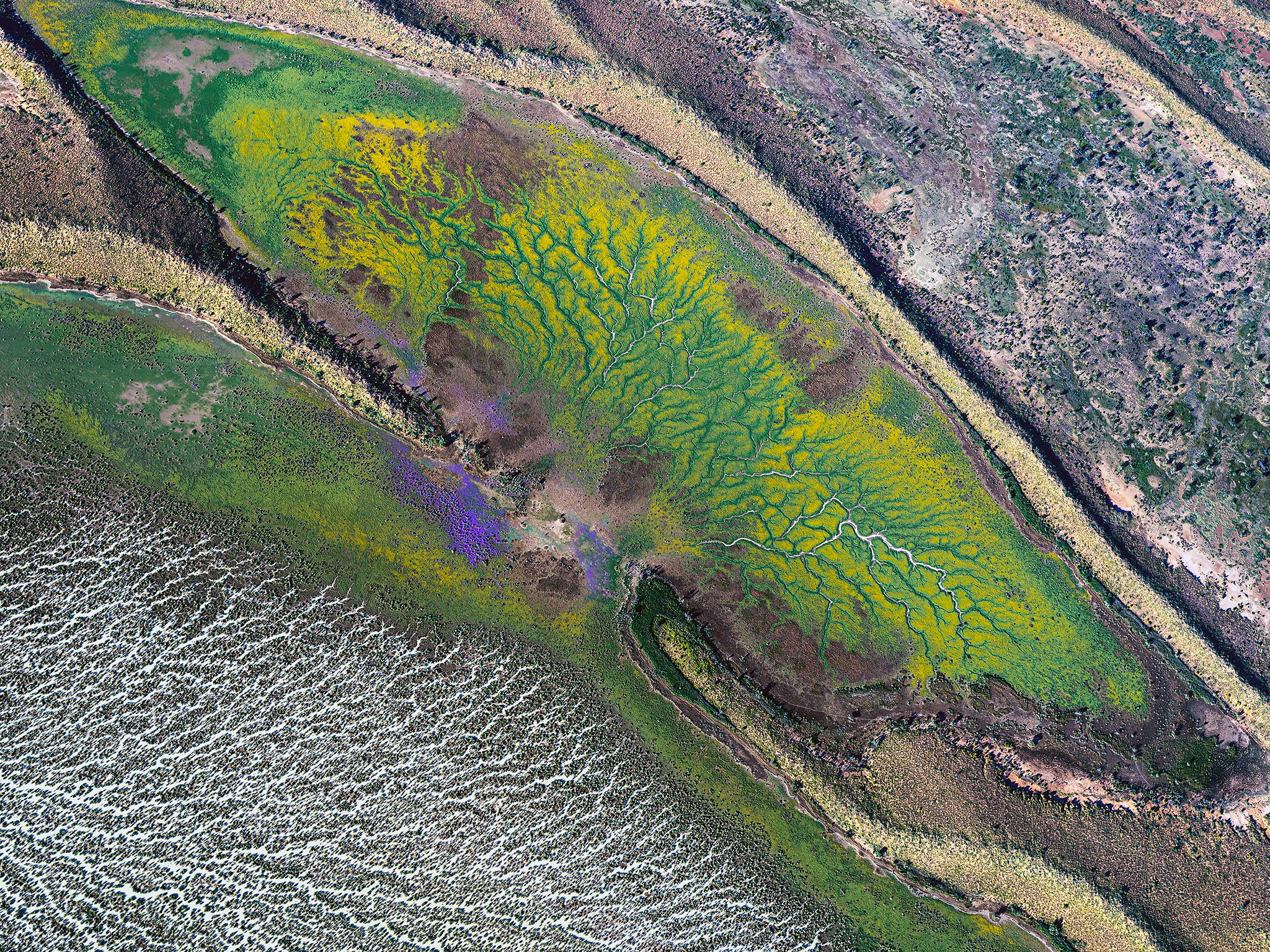 Desert Lung – Airphoto Australia